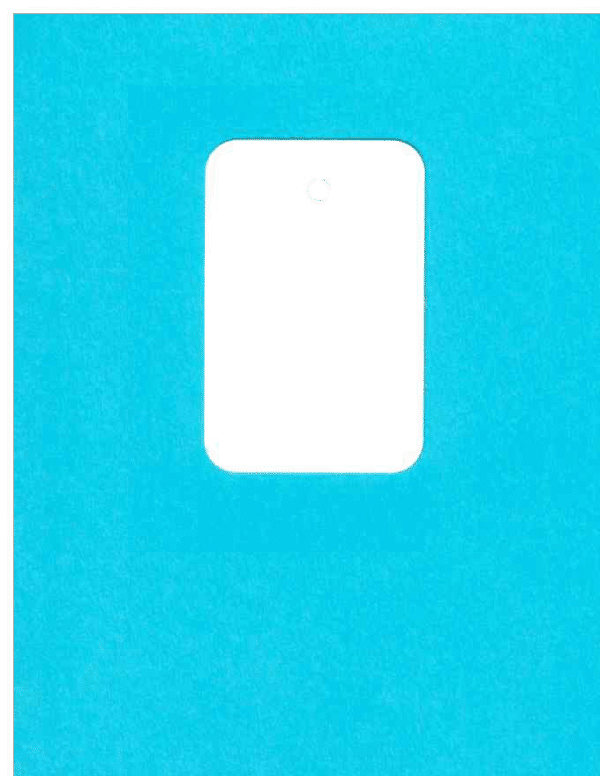 SMALL WHITE BLANK UNSTRUNG 2 PART TAG | Detroit Store Fixture